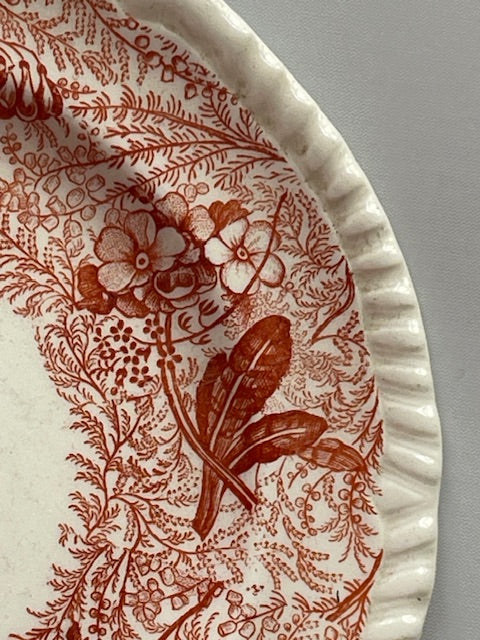 Bi-Color Transferware