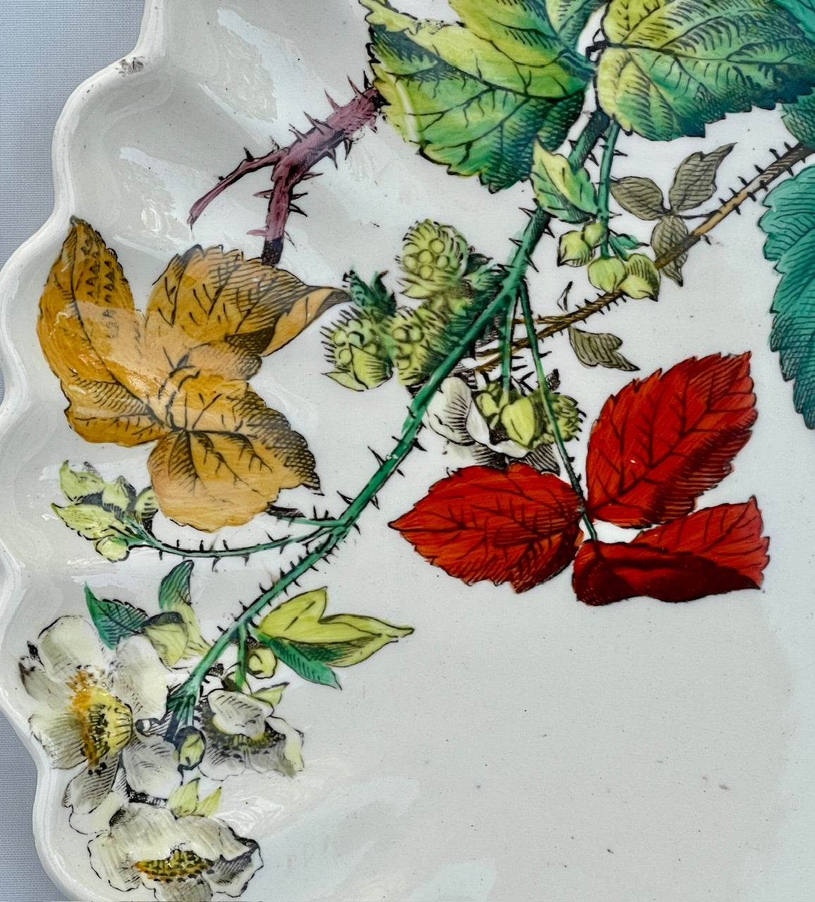 Red Transferware