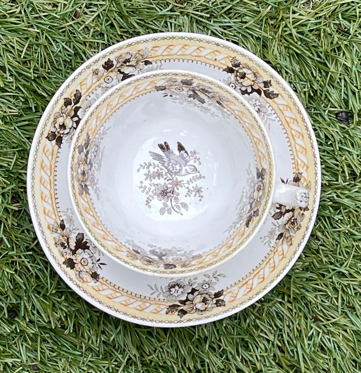 Bi-Color Transferware