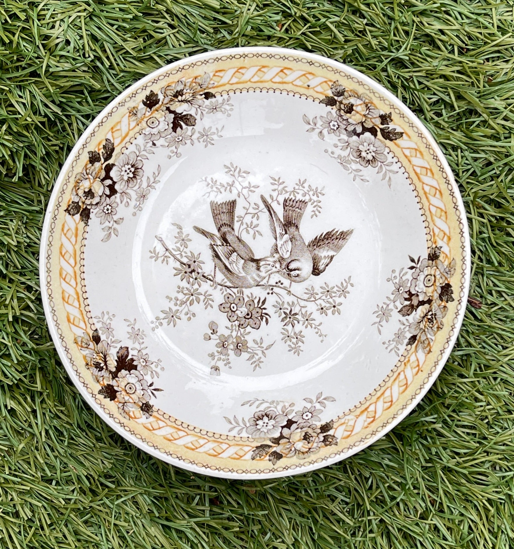 Bi-Color Transferware