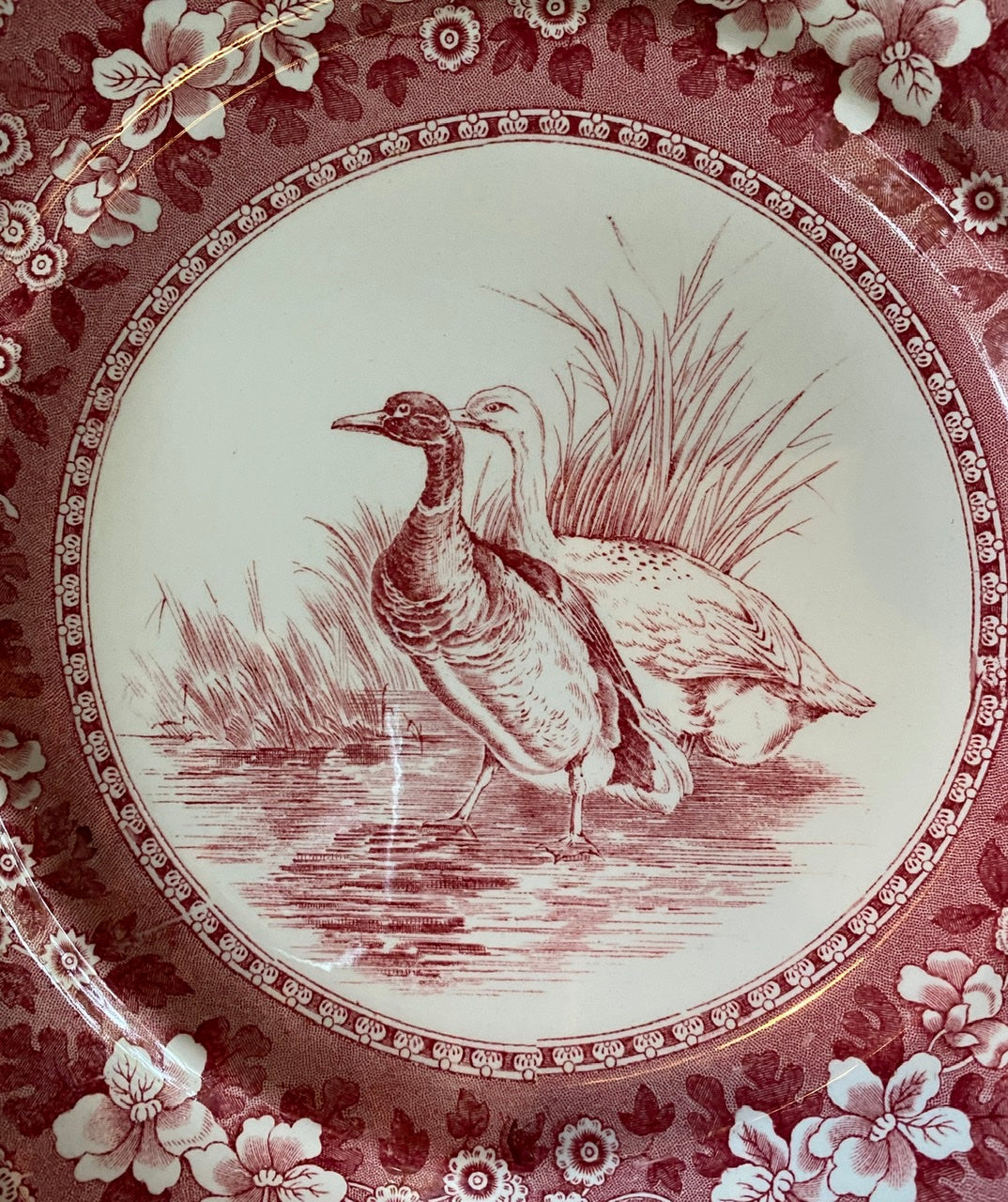 RARE Vintage Spode Copeland Tower Red Transferware Plate Game Bird Wil