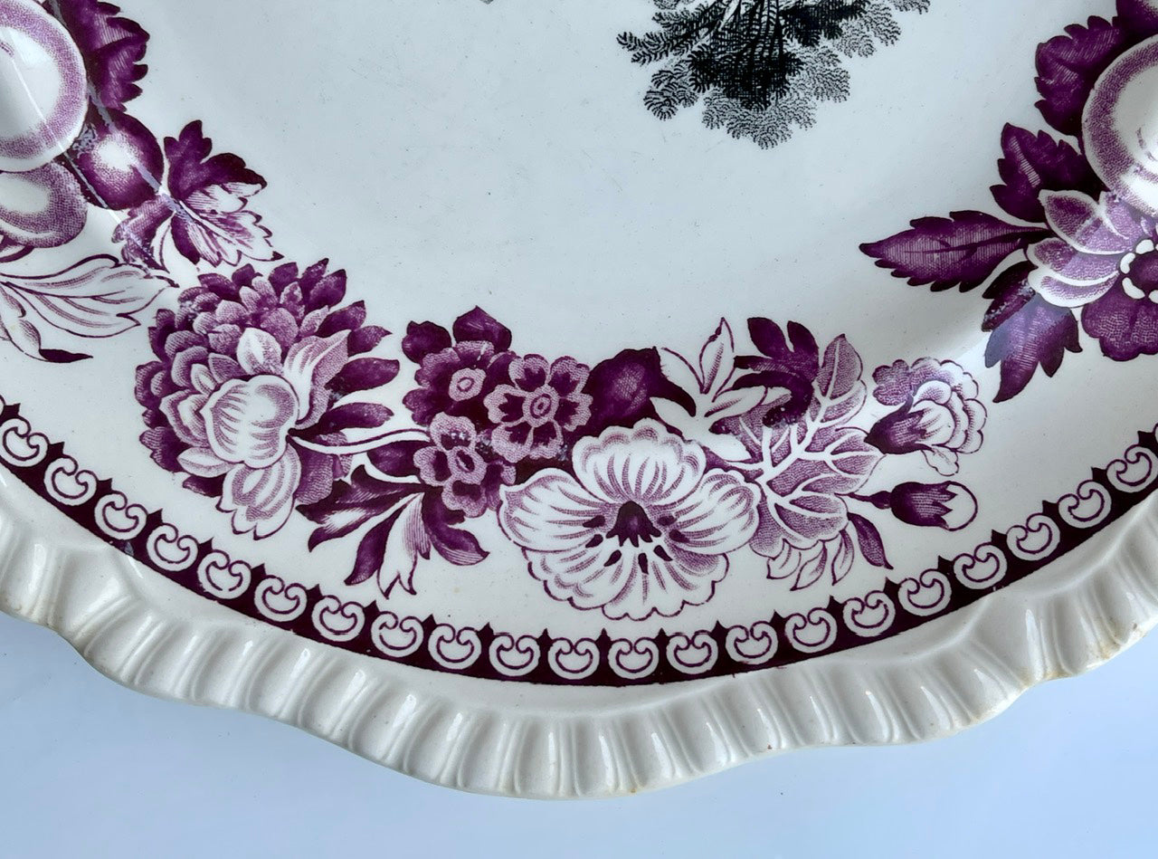 RARE Black Purple 2 Color Transferware Spode Plate Landscape Fountains
