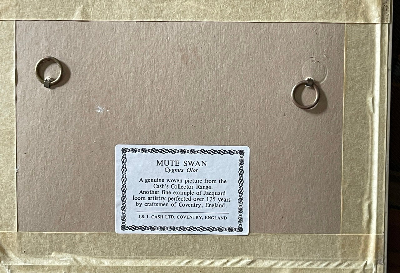 Vintage English Woven 🦢Mute Swan Family Matted & Gold Frame