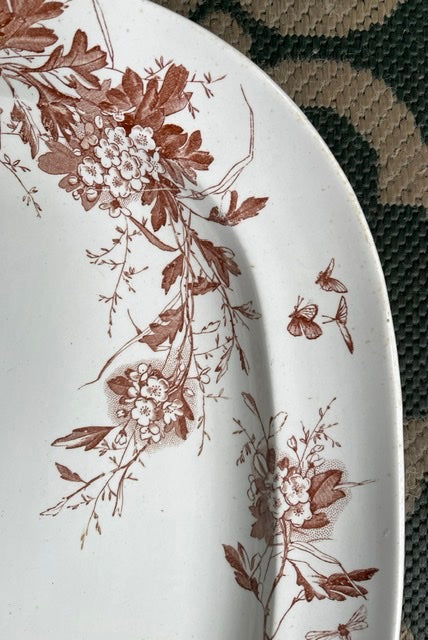 Brown Transferware