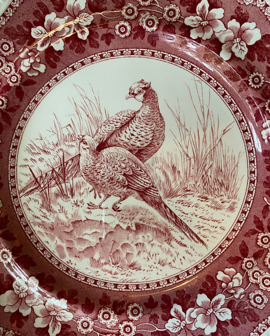 RARE Vintage Spode Copeland Tower Red Transferware Pheasant No 6 Game