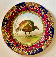 Antique Royal Doulton Clobbered Transferware Wild Turkey Plate Game Bi