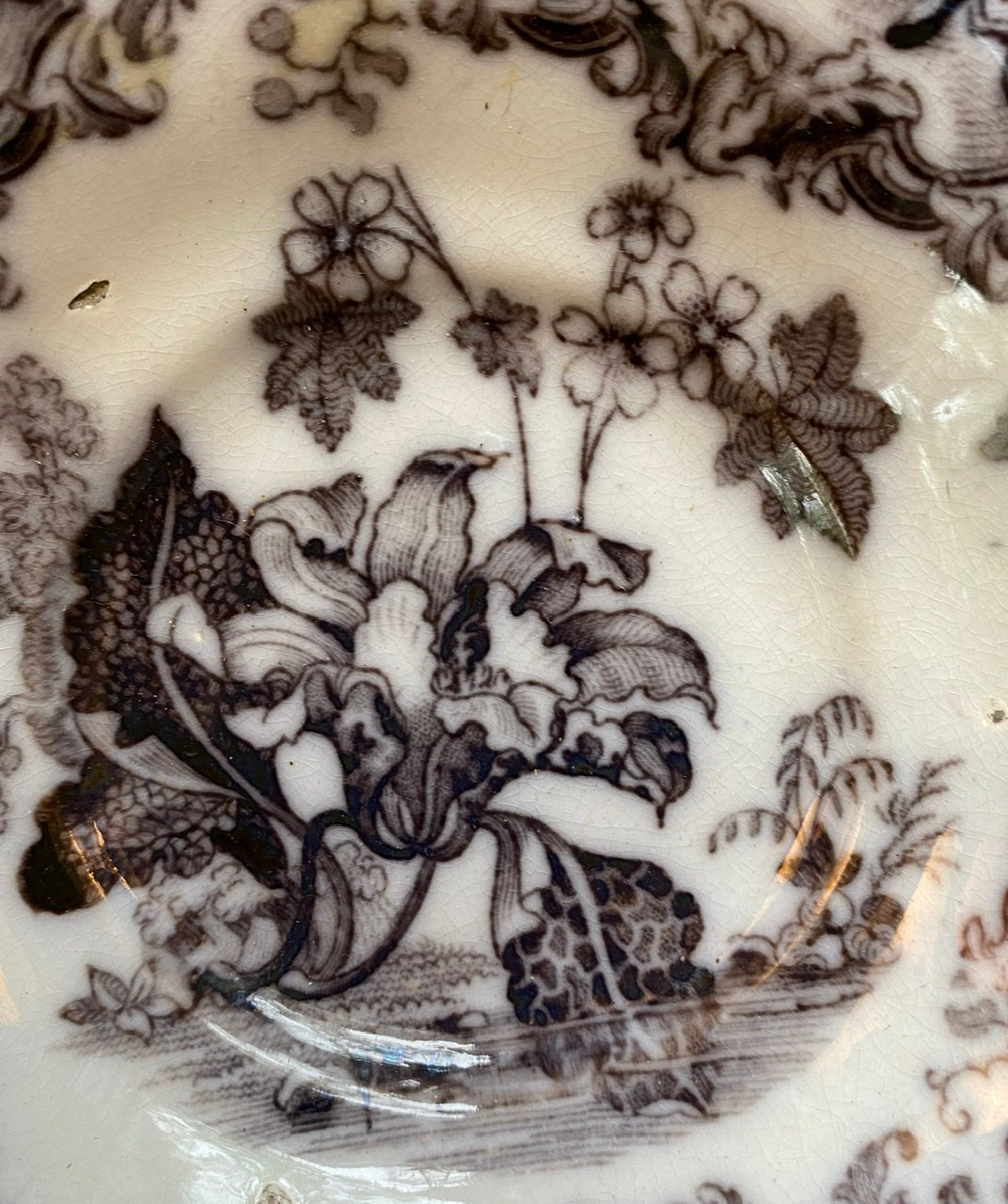 Black Transferware