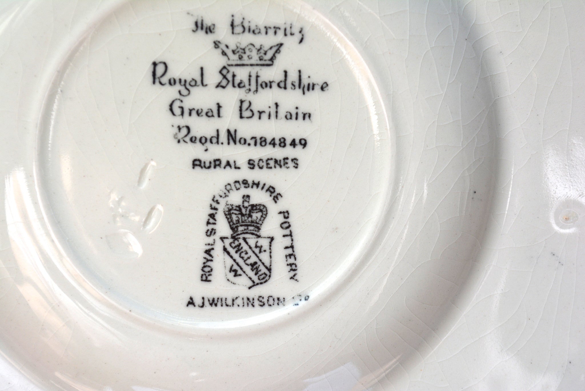 Rectangle Black Transferware Rural Scenes Platter Biarritz Platter