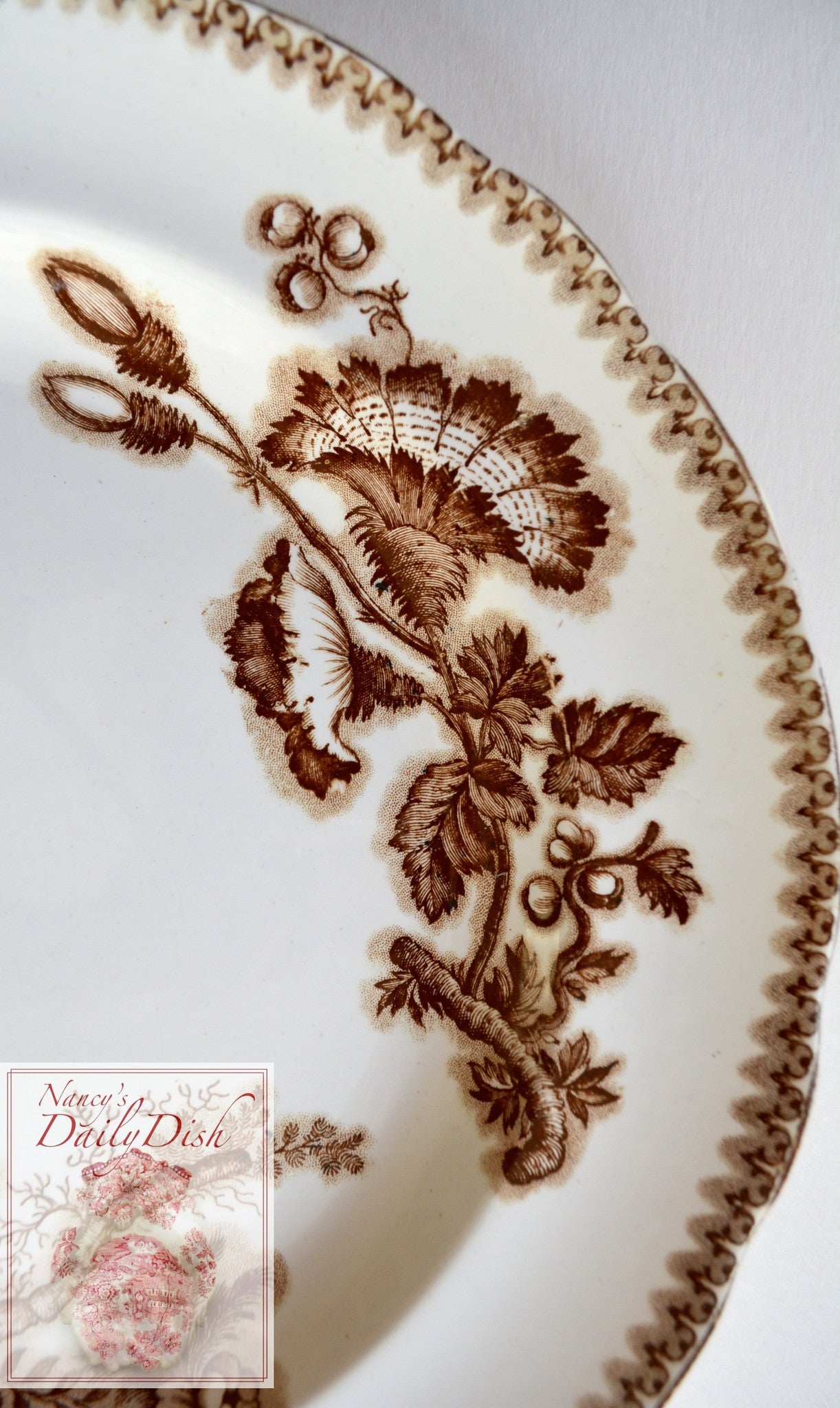 Brown Transferware