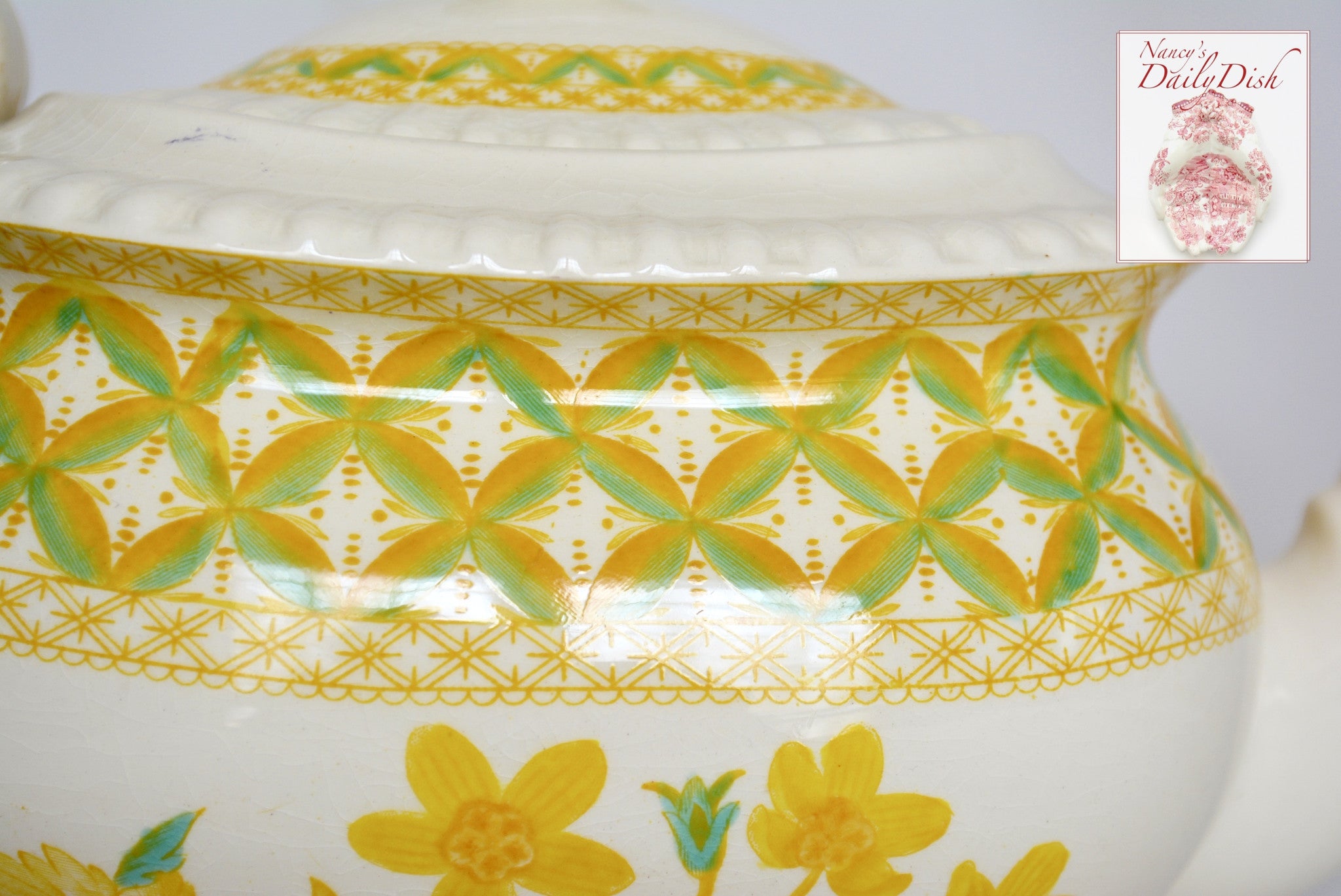 Rare Yellow Transferware Teapot Spode Copeland Lattice and Geraniums F