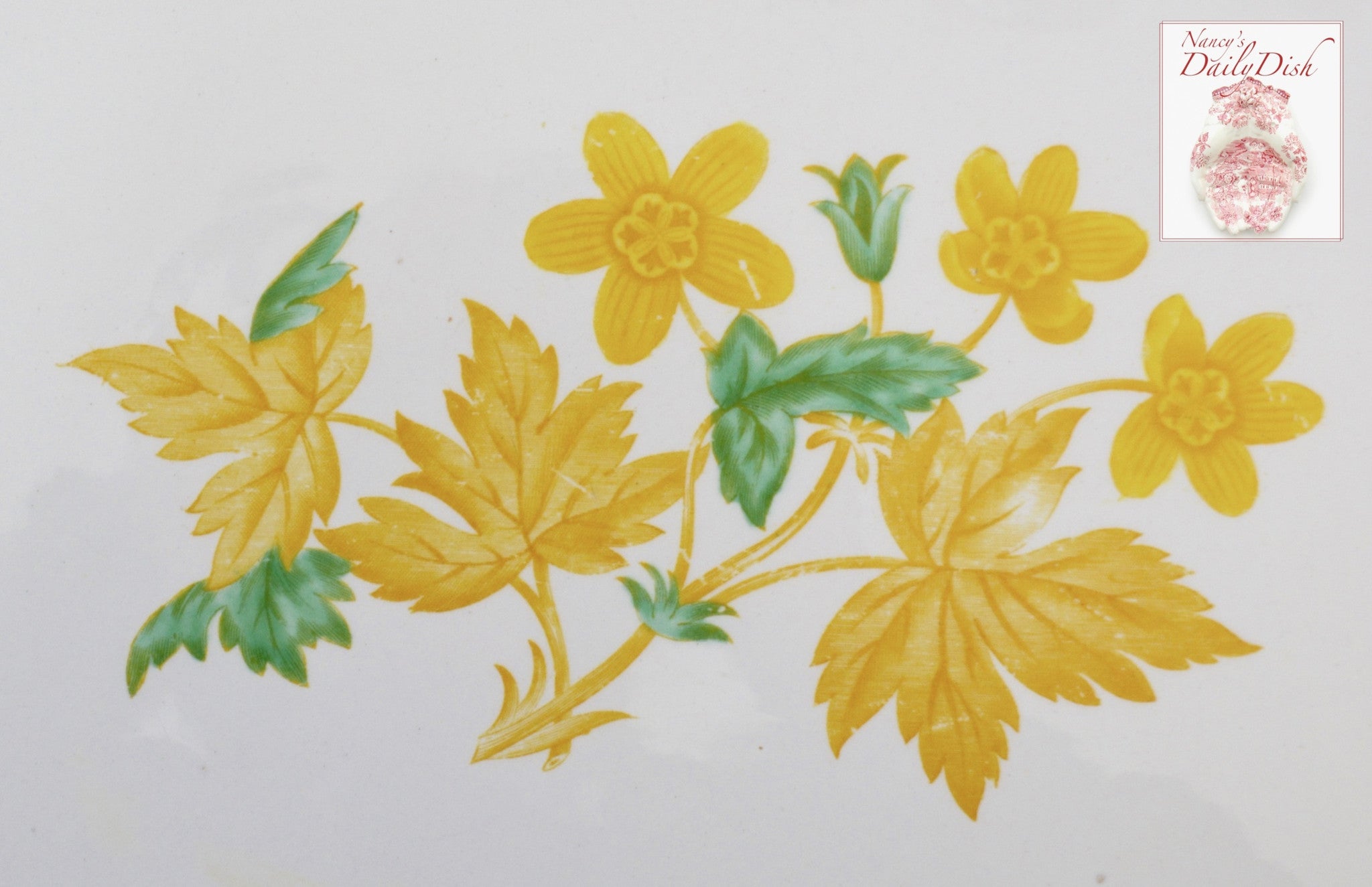 Rare Yellow Transferware Teapot Spode Copeland Lattice and Geraniums F