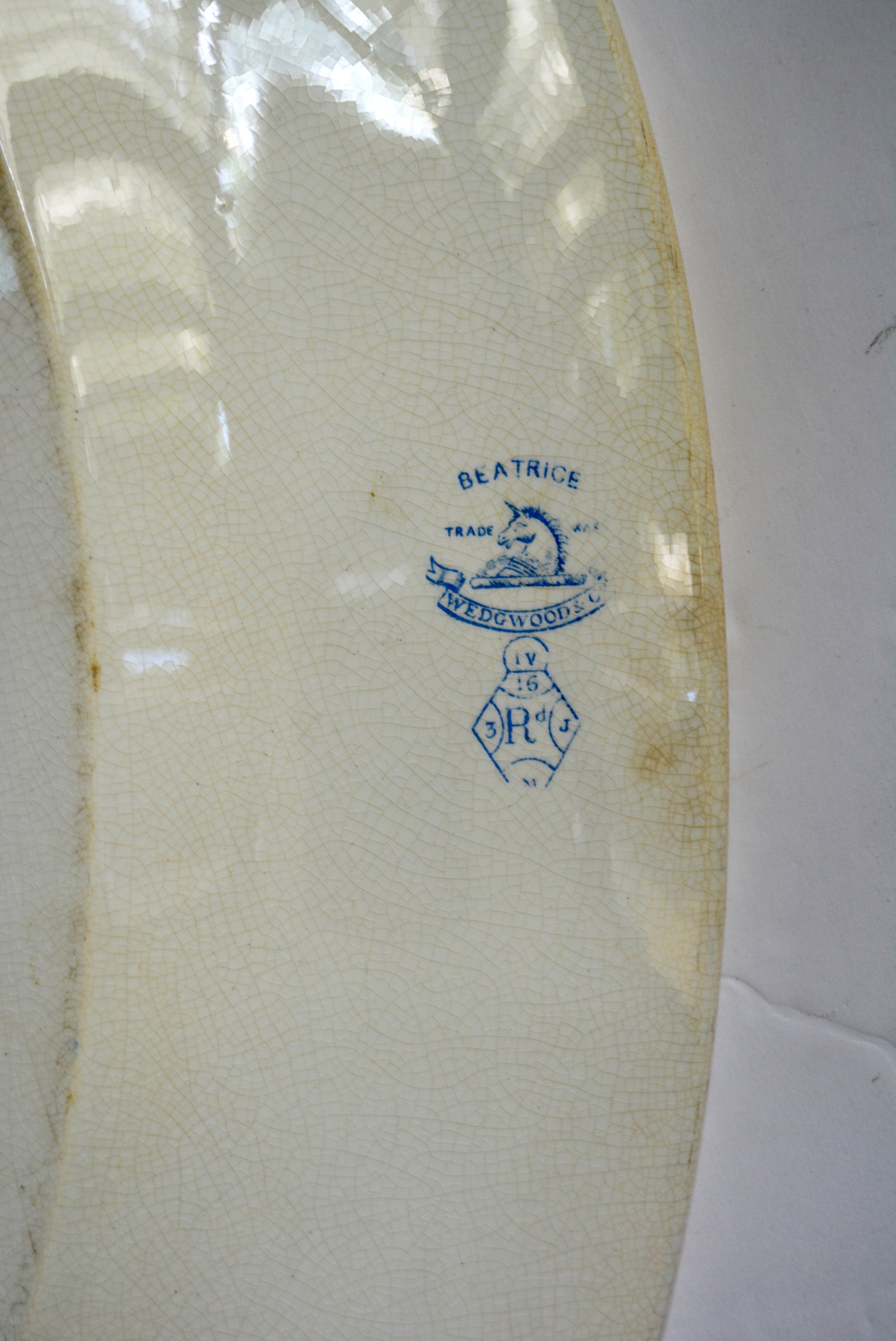 Huge 20" Victorian Aesthetic Movement Light Blue Transferware Platter