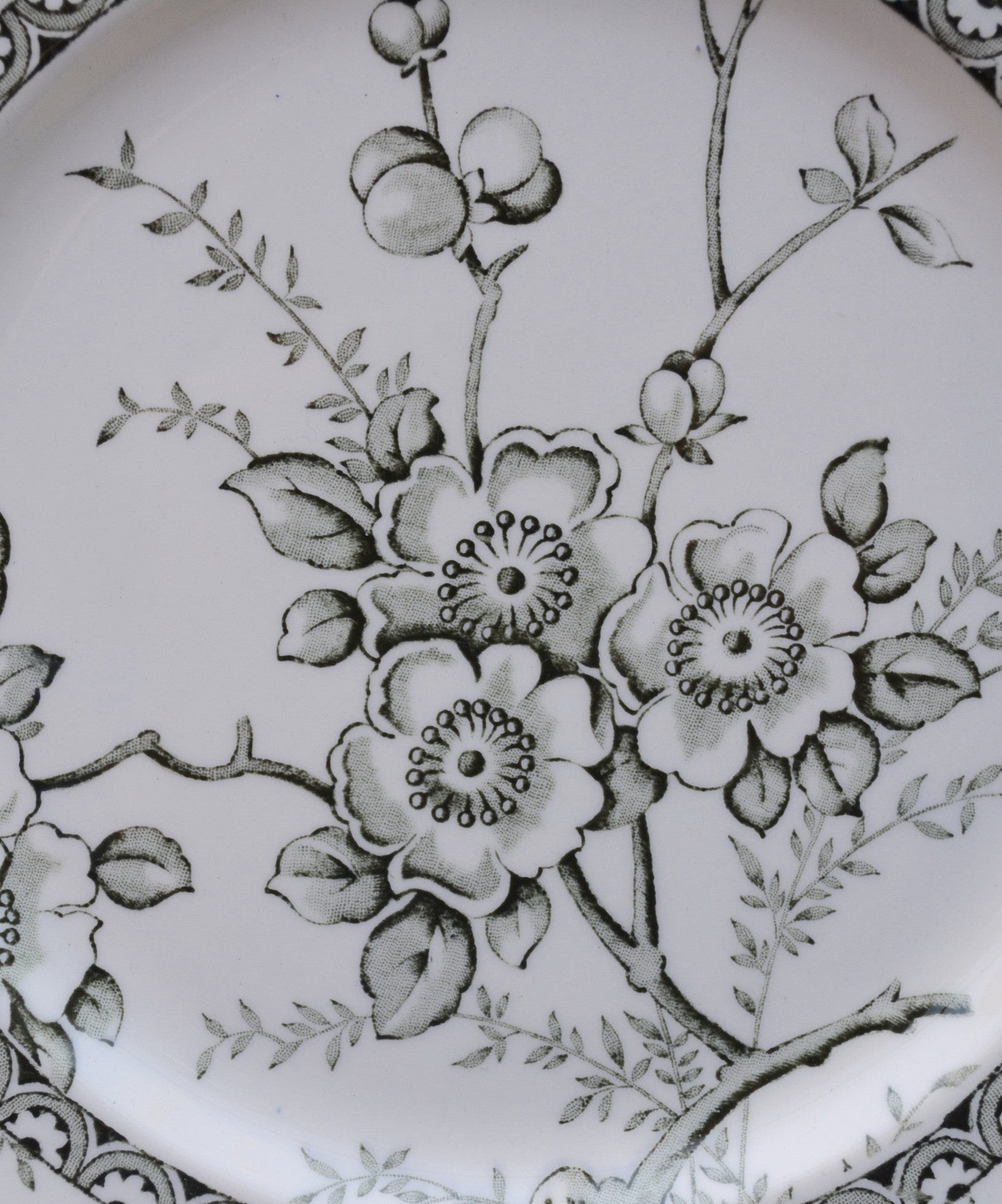 Green Toile English Transferware Plate Butterfly Flowers Berries Bloss