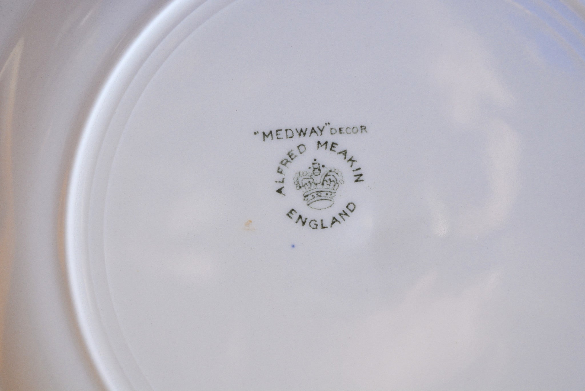 Green Toile English Transferware Plate Butterfly Flowers Berries Bloss