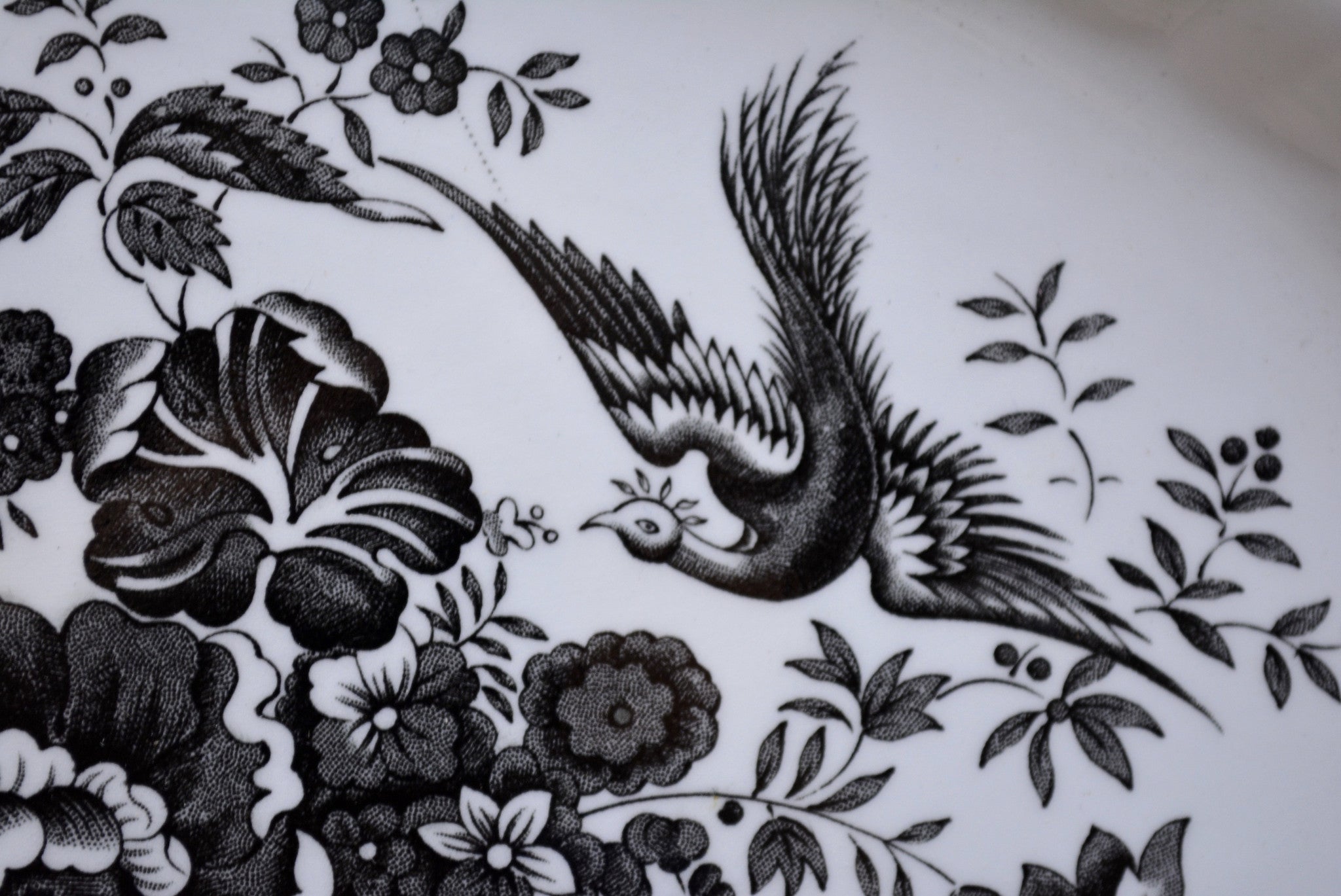 Black Transferware