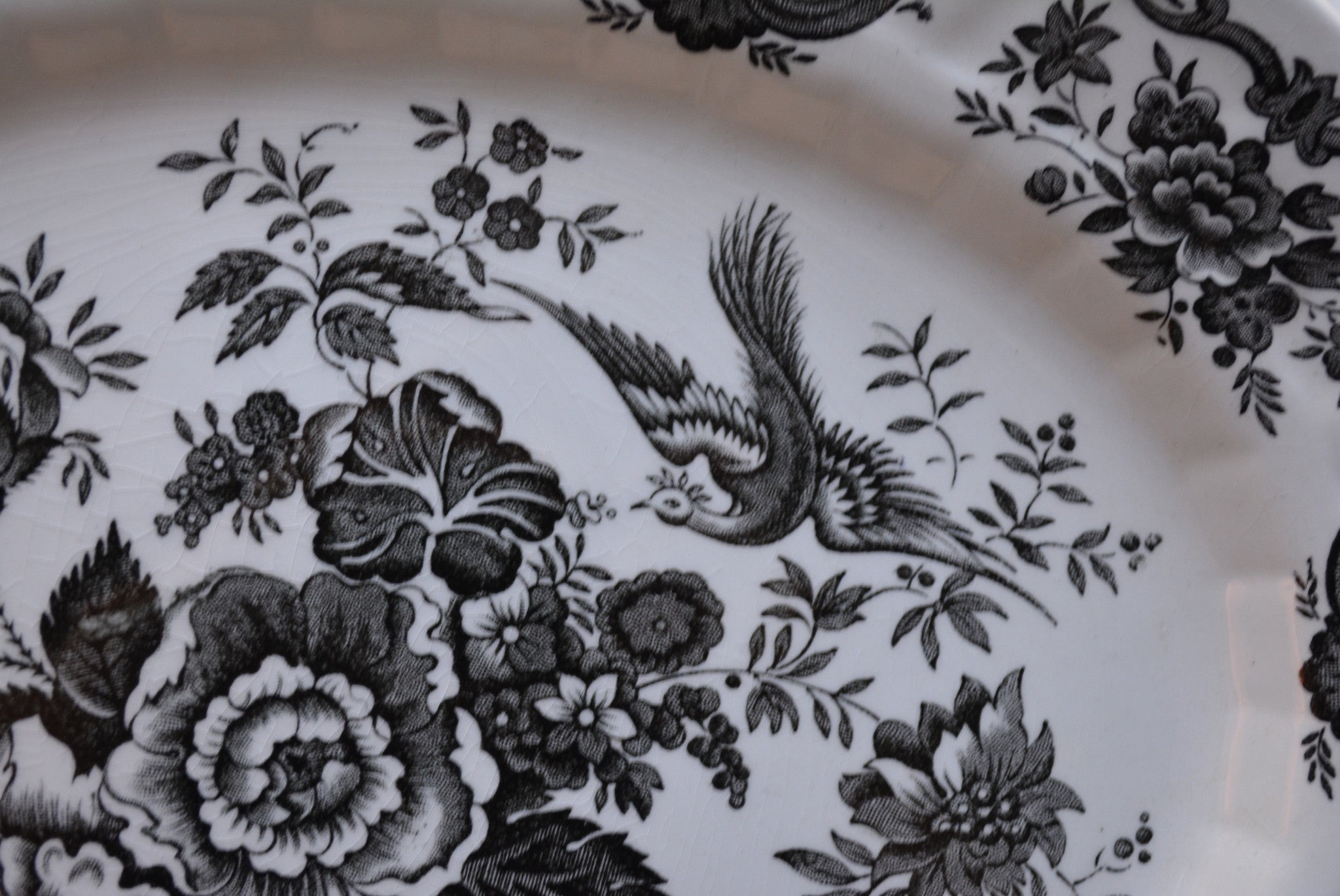 Black Transferware