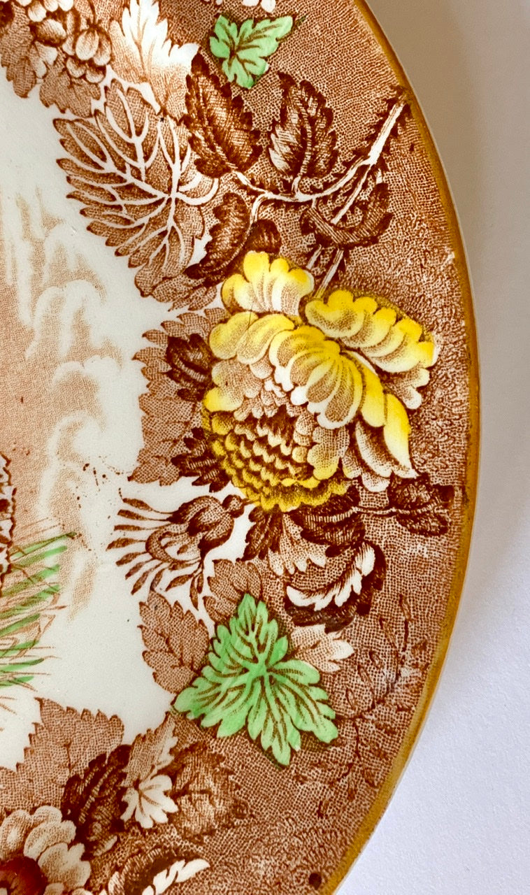 Brown Transferware
