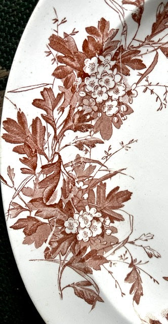 Brown Transferware