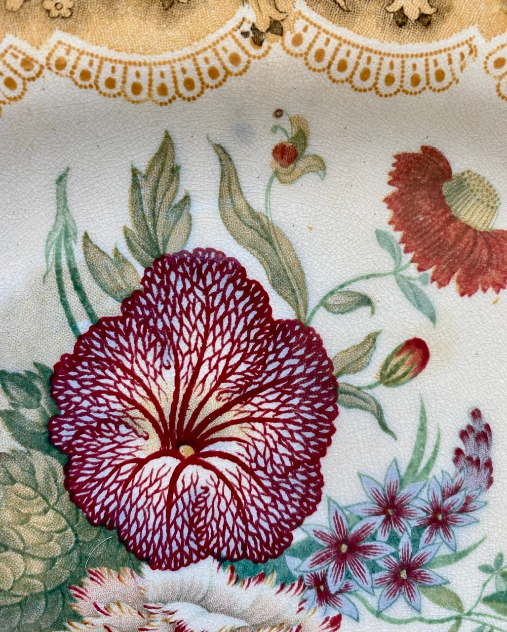 Bi-Color Transferware