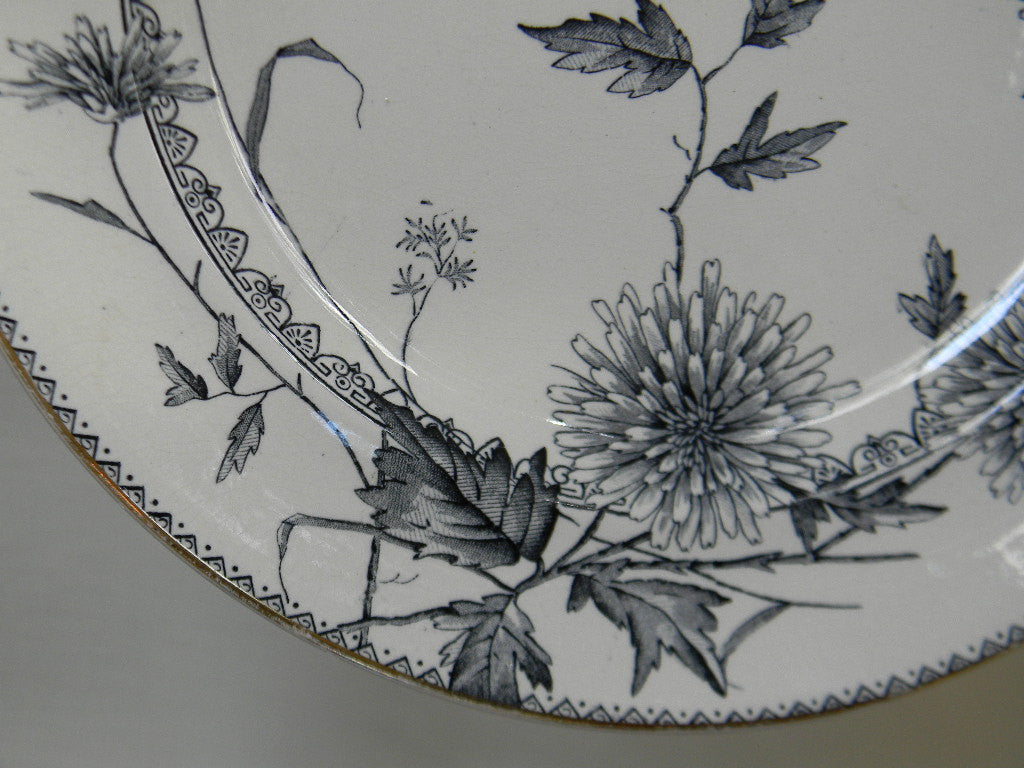 Black Transferware